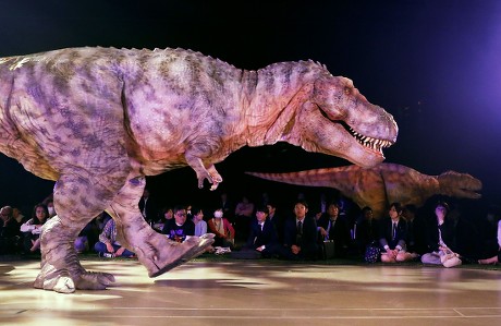 Informations sur les billets pour DINO-A-LIVE DINO SAFARI 2026 au Japon ...